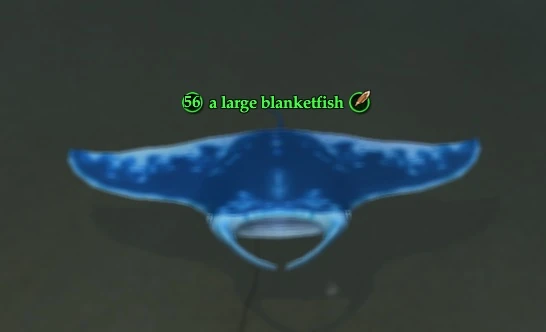 A large blanketfish | EverQuest 2 Wiki | Fandom