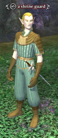 a shrine guard | EverQuest 2 Wiki | Fandom