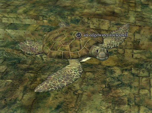 An edgewater rockshell | EverQuest 2 Wiki | Fandom