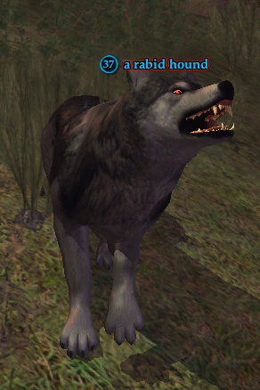A rabid hound | EverQuest 2 Wiki | Fandom