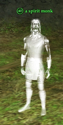 A spirit monk | EverQuest 2 Wiki | Fandom