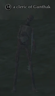 A cleric of Gunthak | EverQuest 2 Wiki | Fandom
