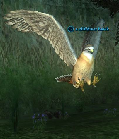 A cliffdiver hawk | EverQuest 2 Wiki | Fandom