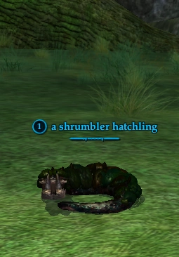 a shrumbler hatchling | EverQuest 2 Wiki | Fandom