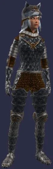 Totemic Etching Set (Armor Set) | EverQuest 2 Wiki | Fandom
