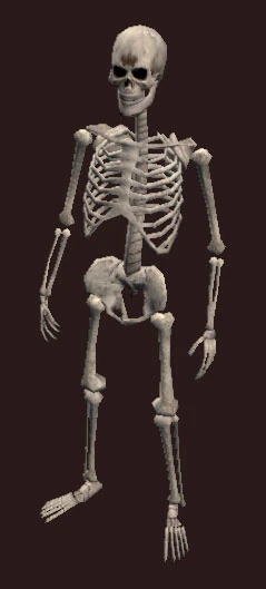 Petamorph Wand: Cackling Skeleton | EverQuest 2 Wiki | Fandom