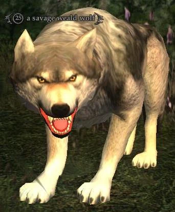 A savage weald wolf | EverQuest 2 Wiki | Fandom