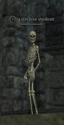 a tireless student | EverQuest 2 Wiki | Fandom