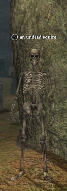 An undead squire | EverQuest 2 Wiki | Fandom