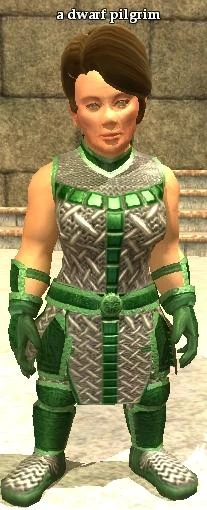 A dwarf pilgrim | EverQuest 2 Wiki | Fandom