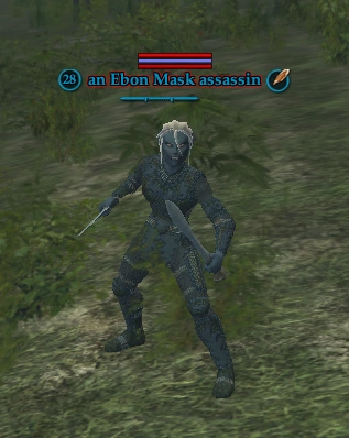 An Ebon Mask assassin | EverQuest 2 Wiki | Fandom