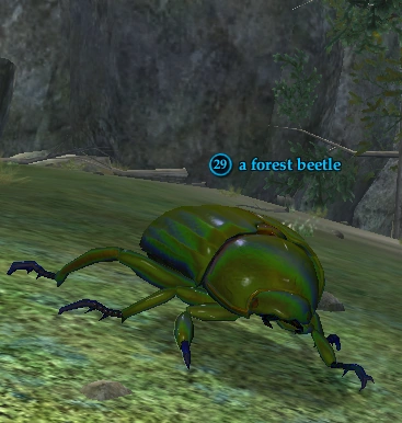 A forest beetle | EverQuest 2 Wiki | Fandom