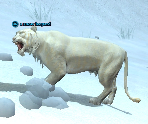 A snow leopard | EverQuest 2 Wiki | Fandom