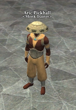Category:The City of Freeport Monk Trainer NPCs | EverQuest 2 Wiki | Fandom