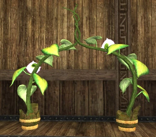 fae arbor | EverQuest 2 Wiki | Fandom