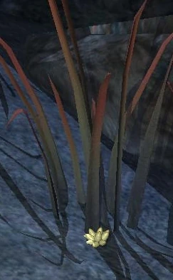 Alligator eggs | EverQuest 2 Wiki | Fandom