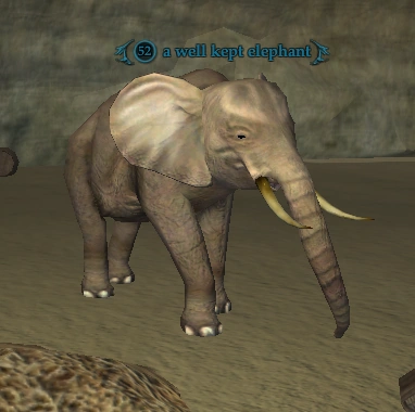 a well kept elephant | EverQuest 2 Wiki | Fandom