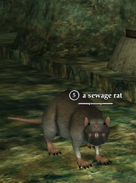 A sewage rat | EverQuest 2 Wiki | Fandom