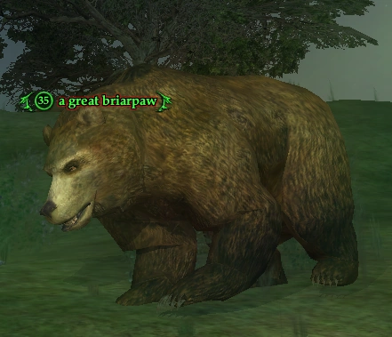 A great briarpaw | EverQuest 2 Wiki | Fandom