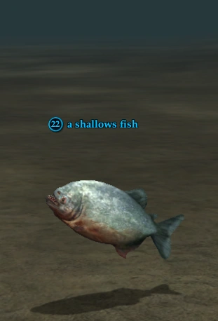 a shallows fish | EverQuest 2 Wiki | Fandom