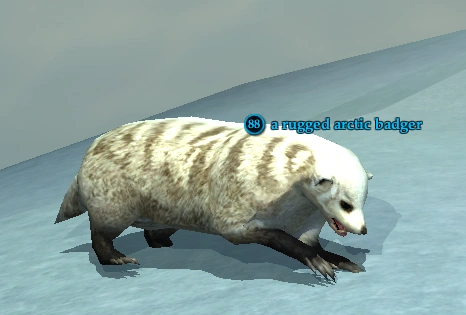 A rugged arctic badger | EverQuest 2 Wiki | Fandom