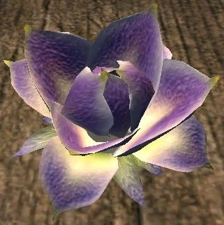 Faeflower Blossom | EverQuest 2 Wiki | Fandom