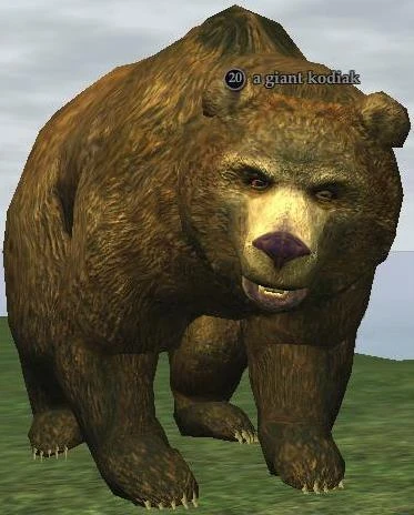 A giant kodiak | EverQuest 2 Wiki | Fandom