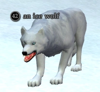 An ice wolf | EverQuest 2 Wiki | Fandom
