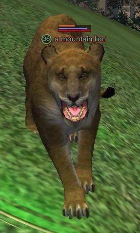A mountain lion | EverQuest 2 Wiki | Fandom
