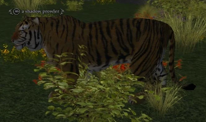 A shadow prowler | EverQuest 2 Wiki | Fandom
