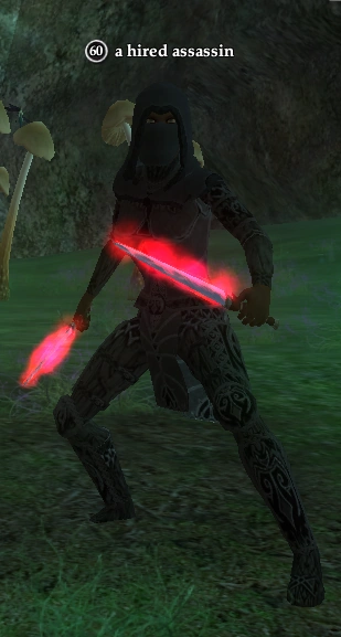 a hired assassin | EverQuest 2 Wiki | Fandom