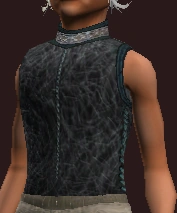 Rat Skin Jerkin | EverQuest 2 Wiki | Fandom