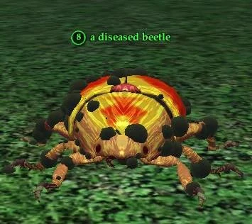a diseased beetle | EverQuest 2 Wiki | Fandom