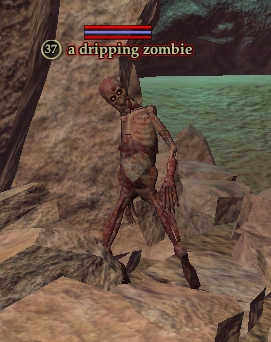 A dripping zombie | EverQuest 2 Wiki | Fandom