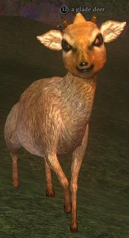 A glade deer | EverQuest 2 Wiki | Fandom