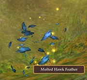 Dressed to Quill | EverQuest 2 Wiki | Fandom