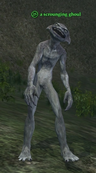 A scrounging ghoul | EverQuest 2 Wiki | Fandom