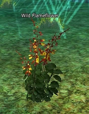 On A Boat | EverQuest 2 Wiki | Fandom