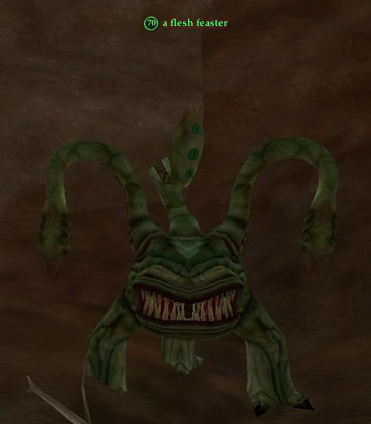 A flesh feaster | EverQuest 2 Wiki | Fandom