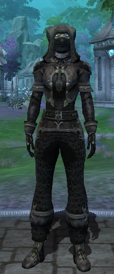 Dark Bodyguard's (Armor Set) | EverQuest 2 Wiki | Fandom
