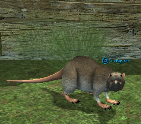 A crag rat | EverQuest 2 Wiki | Fandom
