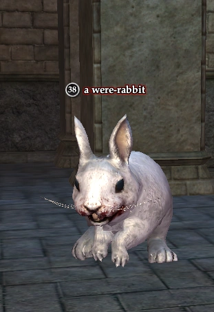 a were-rabbit | EverQuest 2 Wiki | Fandom