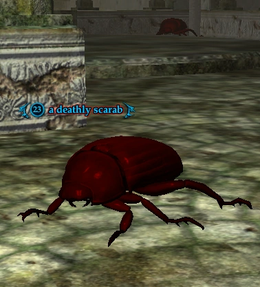 a deathly scarab | EverQuest 2 Wiki | Fandom