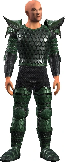 Guide's Chainmail (Armor Set) | EverQuest 2 Wiki | Fandom