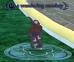 A wandering monkey | EverQuest 2 Wiki | Fandom