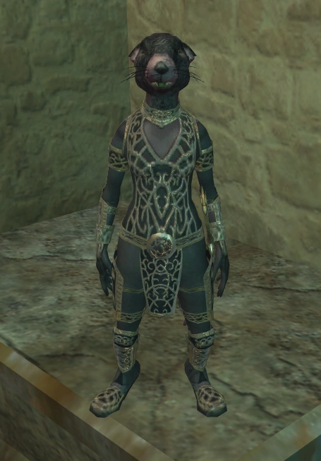 Category:Paladin Mercenary | EverQuest 2 Wiki | Fandom