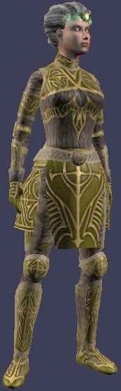 Sacred Grove Set (Armor Set) | EverQuest 2 Wiki | Fandom