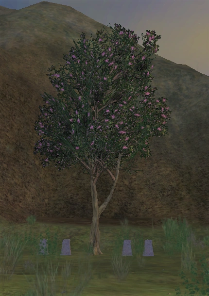 The Fellowship Tree | EverQuest 2 Wiki | Fandom