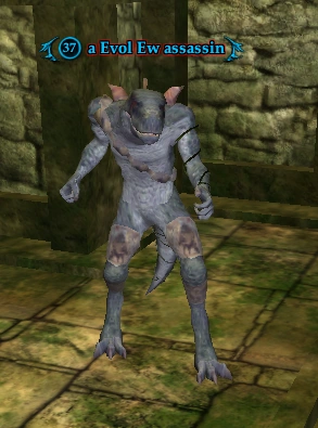A Evol Ew assassin | EverQuest 2 Wiki | Fandom