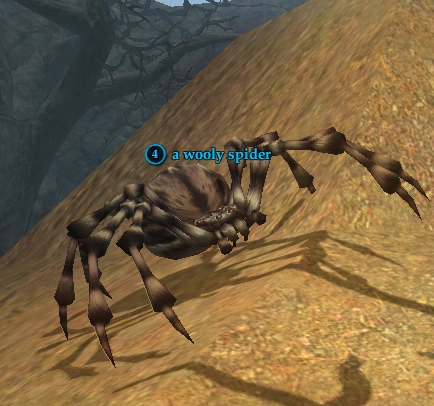 a wooly spider | EverQuest 2 Wiki | Fandom